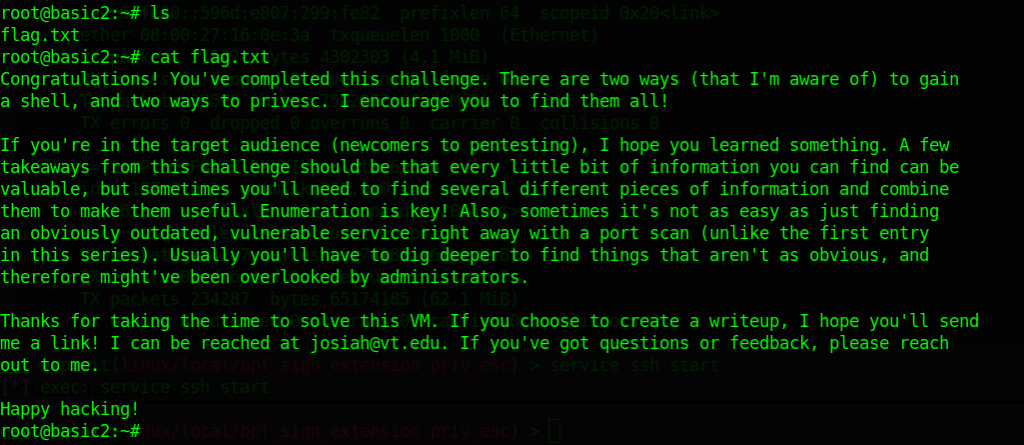 Basic Pentesting 2 Walkthrough