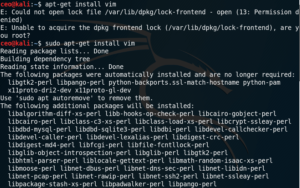top-things-to-do-after-installing-kali-linux-000010 - Ceos3c