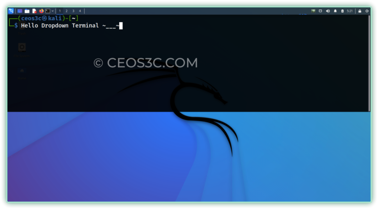 Top Things to do After Installing Kali Linux in 2023!